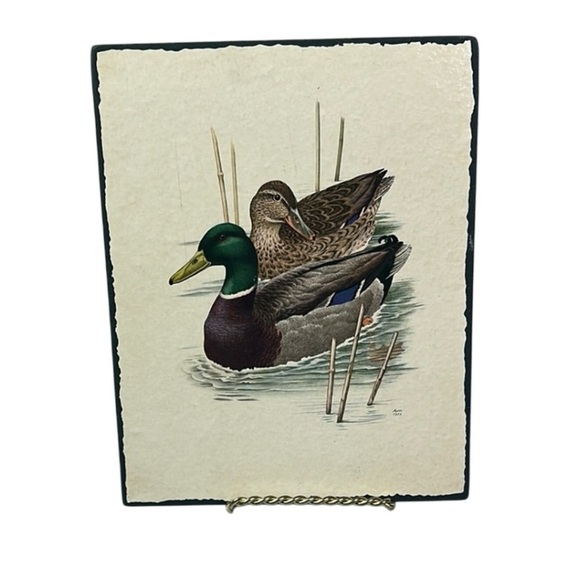 Vintage | Art | Vintage John Murr Midcentury Wild Bird 956 Print By ...